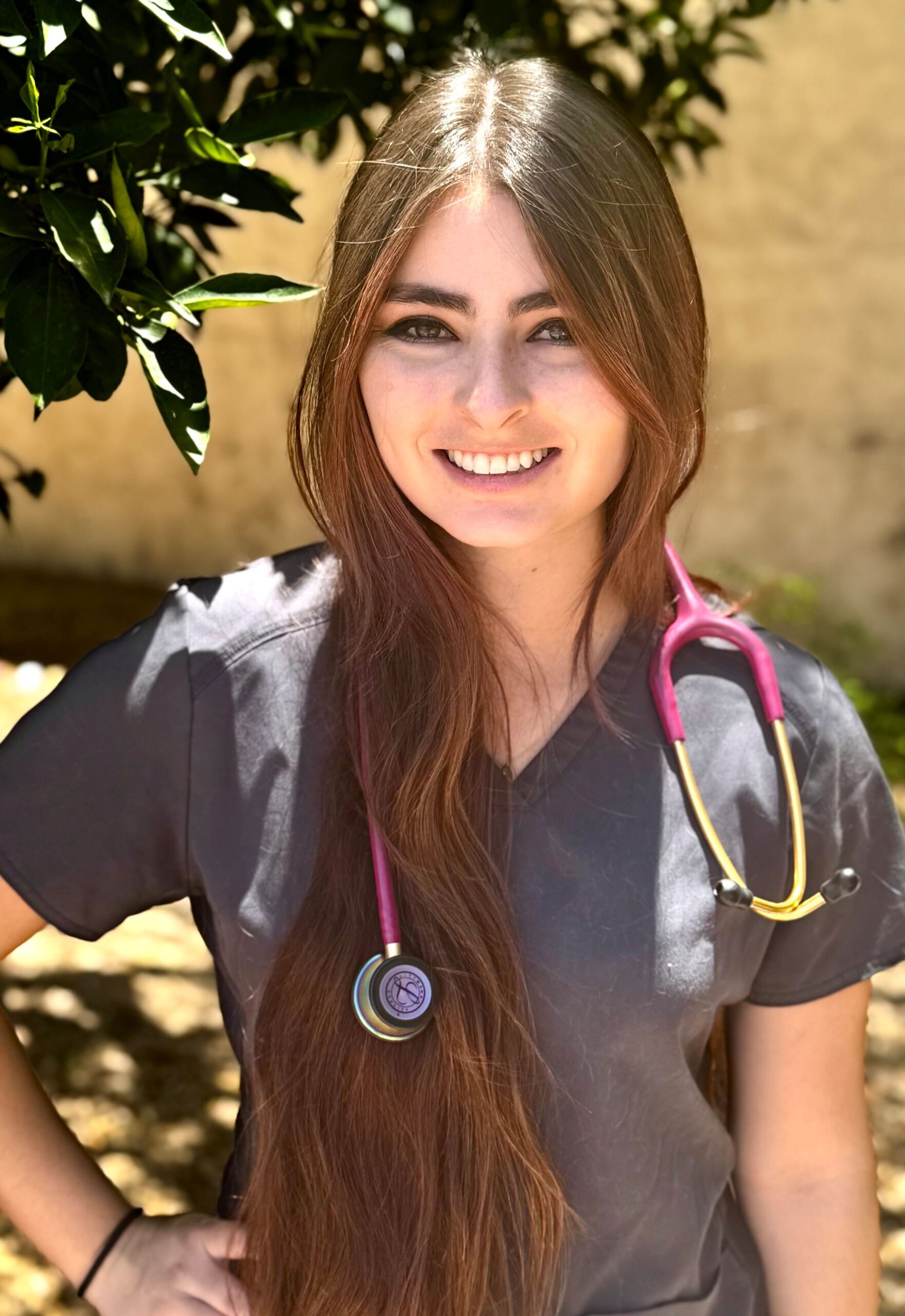 Chloe | Higley Groves Animal Hospital